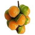 Amazon.com : New Fresh 25pcs mamoncillo Fruit Seeds Generic : Patio ...