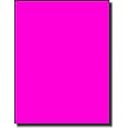 Amazon.com : 100 Label Outfitters® Full Sheet Neon Fluorescent Pink ...