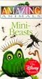 Amazon.com: Amazing Animals - Animal Disguises [VHS]: Amazing Animals ...