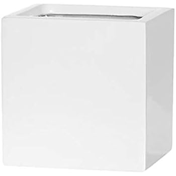 Amazon.com : Mini White Square Planter Box Indoor & Outdoor | Cube ...