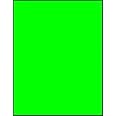 Amazon.com : 100 Label Outfitters® Full Sheet Fluorescent Neon Green ...
