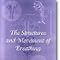 Structures and Movement of Breathing - A Primer for Choirs and Choruses ...