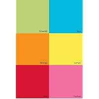 Amazon.com : PRINTWORKS BRIGHT NEON COLOR 8.5 X 11 Copy Paper 24 LB 1 ...