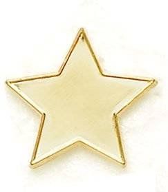 MERIT METAL STAR BADGE GOLD 20MM SB004: Amazon.co.uk: Kitchen & Home