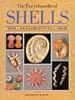 The Encyclopedia of Shells in Kuwait | Whizz Science & Math