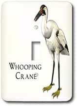 3dRose lsp_51601_1 Whooping Crane Shorebird Switch | Amazon.com.br