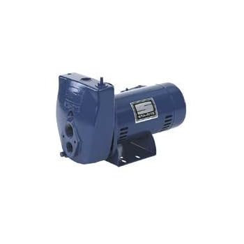Amazon.com : Pentair Sta-Rite SLC-L Single Phase Shallow Deep Well Jet ...
