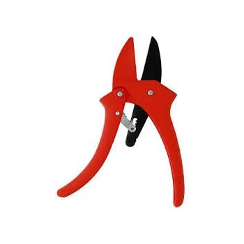Amazon.com : Florian Ratchet-cut Pruner RED : Hand Pruners : Garden ...