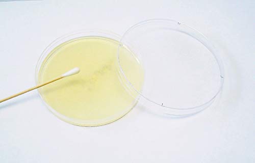Diamante Scientific Tryptic Soy Agar (TSA), with Typtone & Soytone ...