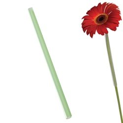 Amazon.com: Clear Gerbera Straws 3/8 x 8" - 150