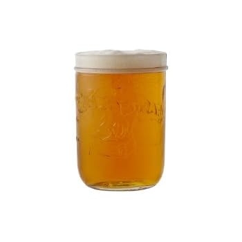 Amazon.com | Lagunitas 20 Ounce Mason Jar Glasses, Set of 2: Beer Glasses