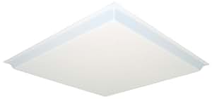 Lithonia Lighting D2SBDDROP2 2-Foot by 2-Foot Dropped Acrylic Diffuser ...