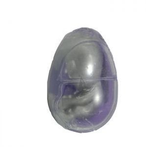 Amazon.com: Kandy Toys 24 X Alien Egg Pods - Alien Egg - Assorted ...