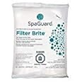 SpaGuard Filter Brite (100 g Pouch) Filter Cleaner (SKU 7544) : Amazon ...