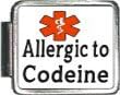 Amazon.com: Clearly Charming Allergic to Codeine Medical Alert Italian ...