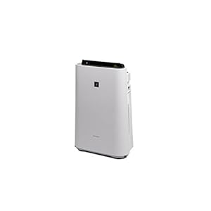 Air Purifier Winix Freshome P450 - Full Review - Home Air Purifier