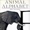 Amazon.com: Animal Alphabet (9780803701175): Kitchen, Bert: Books