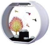 Fish R Fun Deco O Fish Tank White 20L: Amazon.co.uk: Pet Supplies