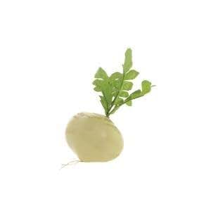 Amazon.com: White Artificial Turnip: Home & Kitchen