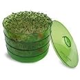 Biosta Sprouter with 3 levels -Green Tint : Amazon.ca: Sports & Outdoors