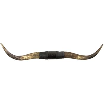 Amazon.com: Mounted Longhorn Steer Horns, 36-43 inch Span, Natural ...
