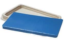 Econopan with Flex Pad - Dissecting Tray 10" x 6": Science Lab ...