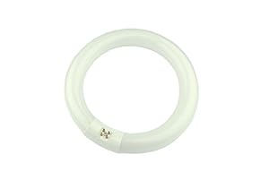 1 X Daylight Circular Tube BULB T9 22W Round FCL-22w Fits Proops ...