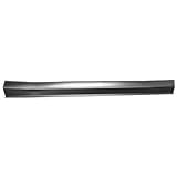 OE Replacement FORD FOCUS Rocker Panel, Rocker Panels - Amazon Canada