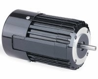 (0295) 1/5 Hp 1700 Rpm 119 Oz-in. 34R6BFPP 230 Vac.: Electric Motors ...