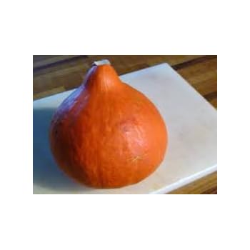 Amazon.com : Japanese Heirloom Red Kuri Hokkaido Squash Seed By ...