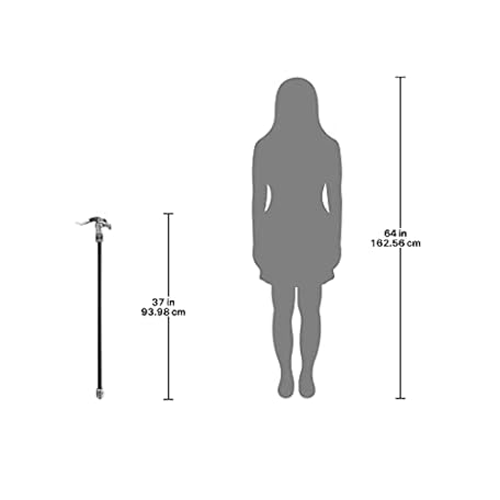 Mua Design Toscano Dragonsthorne Nebula Dragon Gothic Walking Stick ...