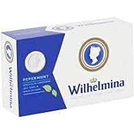 Amazon.com : Fortuin Wilhelmina Peppermints Box 3.5 Oz (Pack of 12 ...