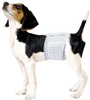 MICOOYO Dog Nappies, Male Dog Diapers Comfort Dry Disposable Male Dog ...