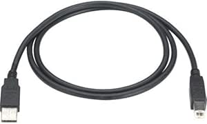 Amazon.com: Universal Serial Bus (USB) Cable, Version 2.0, Type A-Type ...