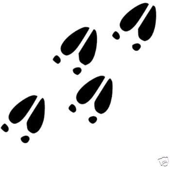 Amazon.com: Deer Track Decals - Set of 12: Automotive