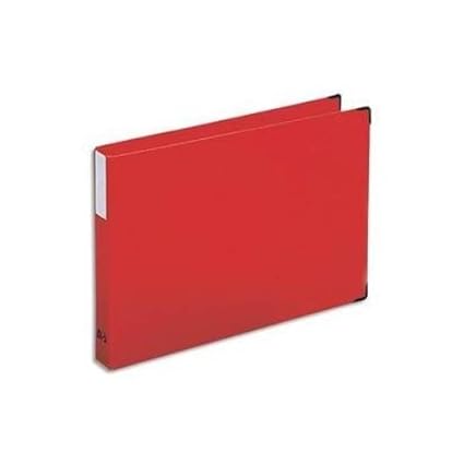 Amazon.com: Arianex Ring Binder A3 Horizontal Format with 4 D-Rings ...