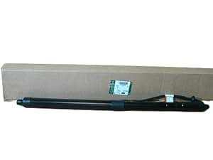Amazon.com: Genuine LAND ROVER TAILGATE REAR END DOOR STRUT RANGE ROVER ...