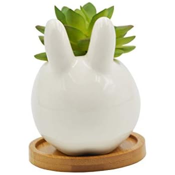Amazon.com : Decorative Bunny Rabbit Design White Mini Ceramic Plant ...