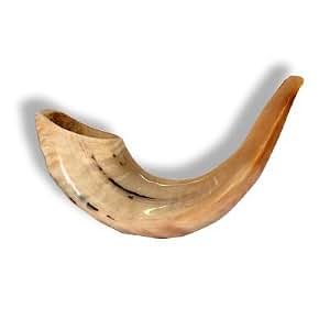 Cuerno de carnero Kosher Shofar Schofar instrumento de regalo de ...