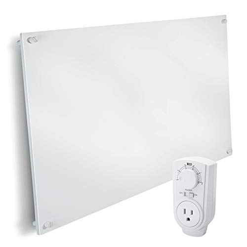 EconoHome Wall Mount Space Heater Panel - with Thermostat - 600 Watt ...