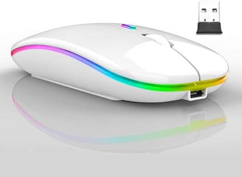 Wireless Bluetooth Mouse, Bluetooth + USB Wireless Receiver, Type-C ...