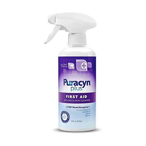 Puracyn Plus Wound and Skin Cleanser – Wound Care Spray for cuts ...