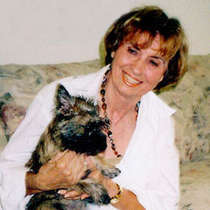 Heat Lightning (The Bay Harbor Saga): Ruth Coe Chambers: 9780989010924 ...