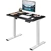 Flexispot EN1 Electric Small Standing Desk Whole-Piece Adjustable ...