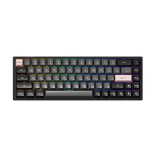 Akko 3068B Black & Pink 65% 68-Key RGB Hot-swappable Mechanical Gaming ...