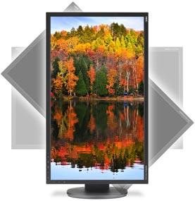 Amazon.com: NEC Display EA243WM-BK 24-Inch Screen LCD Monitor ...