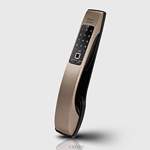Buy Gateman ASSA ABLOY X300-FH Digital Door Lock Push Pull Doorlock ...