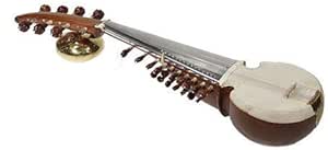 Amazon.com: Musical Works Professional Sarod Ali Akbar Khan Style Tun ...