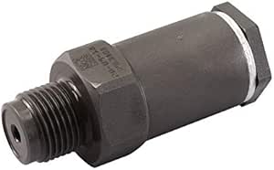 3963808 Pressure Relief Valve Compatible with Dodge Cummins 5.9 Diesel ...