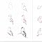 Draw 50 Animals: The Step-by-Step Way to Draw Elephants, Tigers, Dogs ...